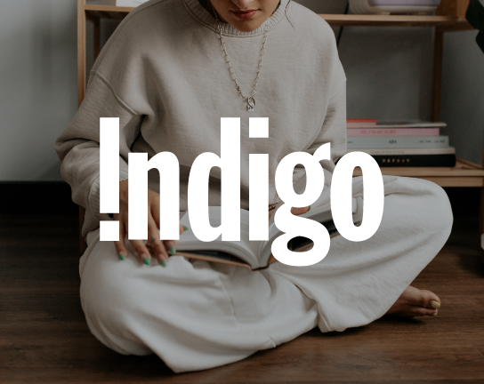 Case Study Indigo - Benjamin David Group